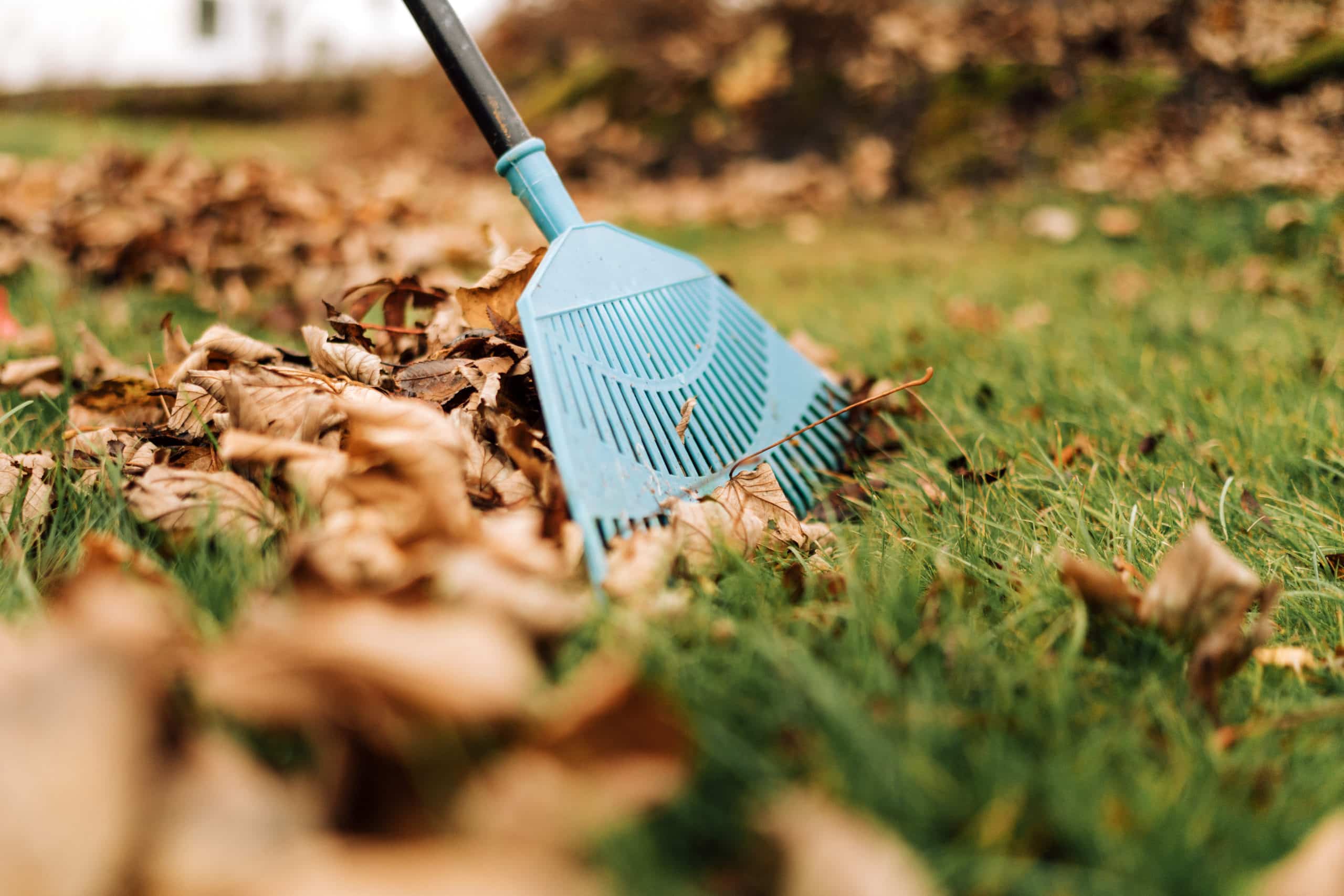Tips for Raking Leaves - Fairway Lawns