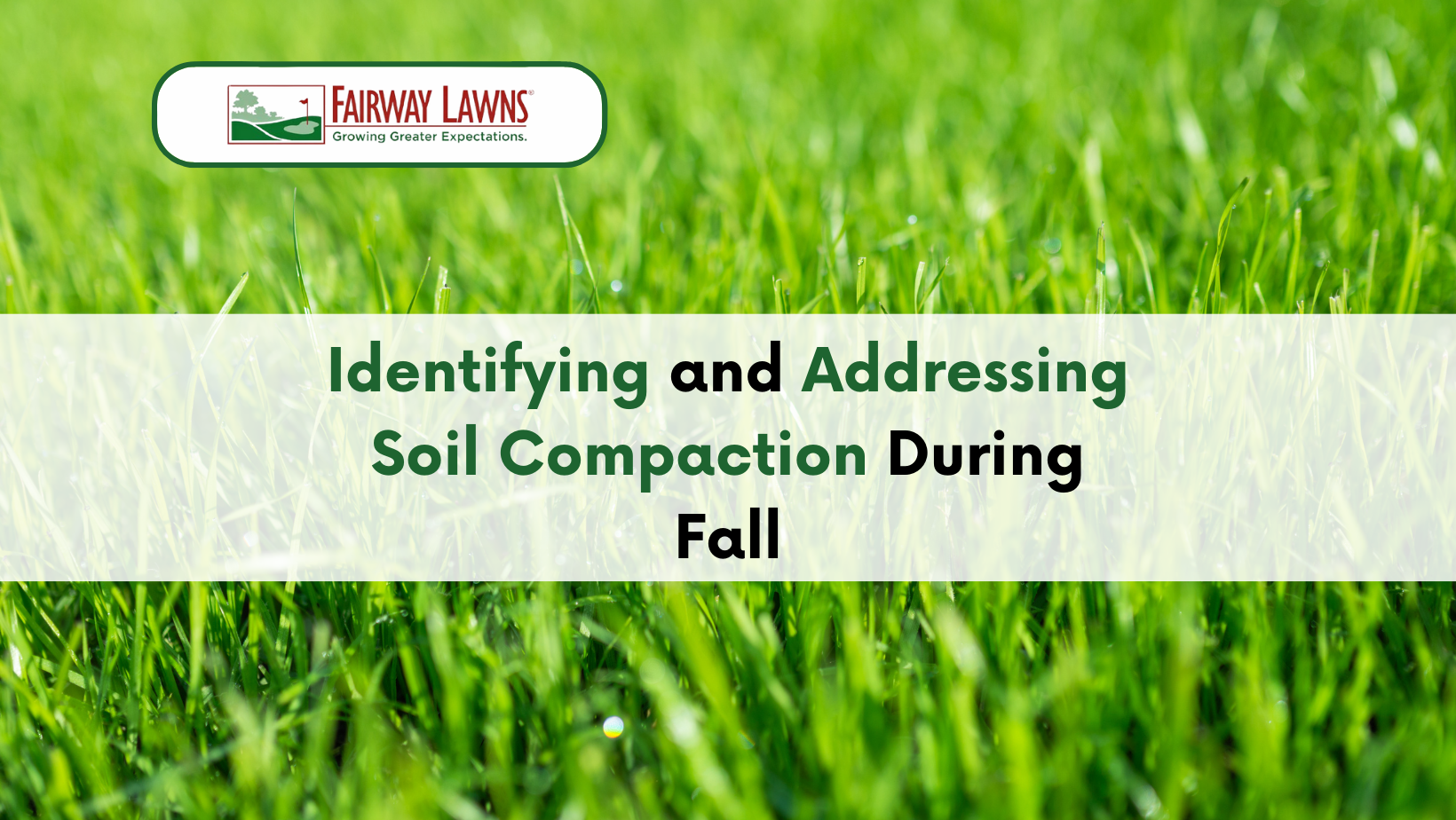 Identifying and Fixing Soil Compaction | Fairway Lawns