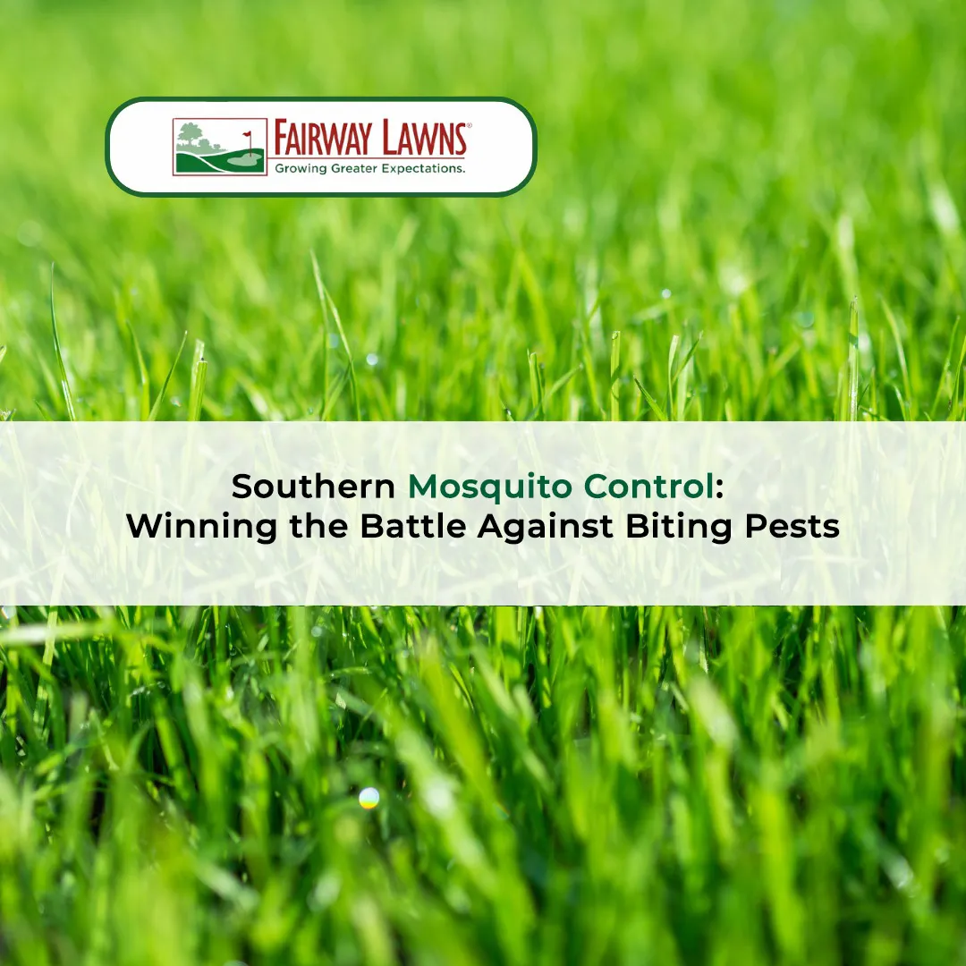 Southern Mosquito Control: Winning the Battle Against Biting Pests ...