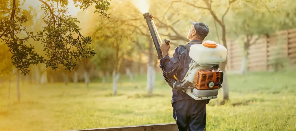 Fall Pest Control in Columbia, SC | Keep Your Yard & Home Safe